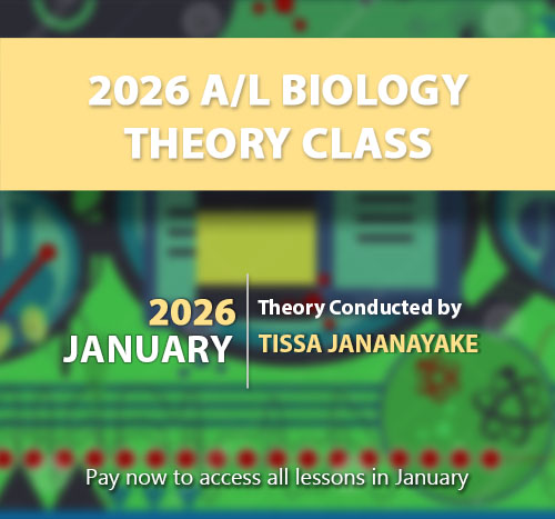 Sipsuru: 2026 Theory